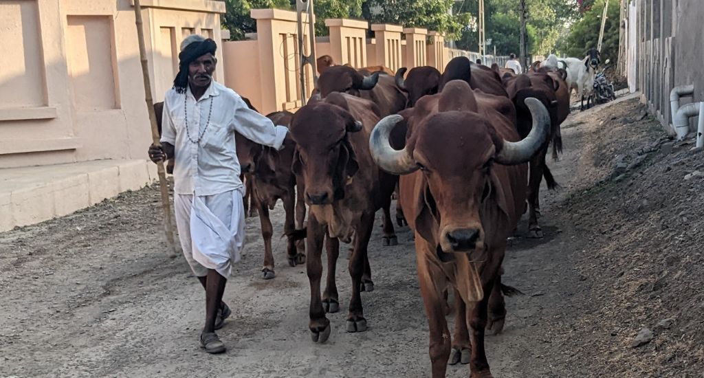 Aga Khan Rural Support Programme (India) - Blog Detail